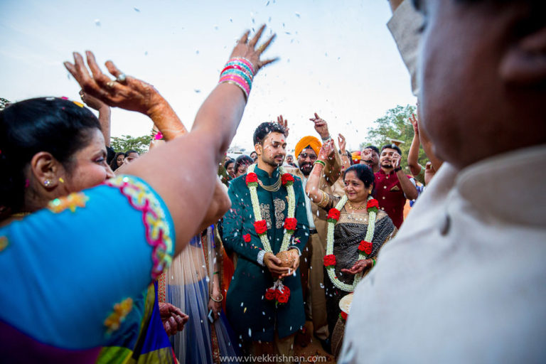 Neha & Anand - Vivek Krishnan