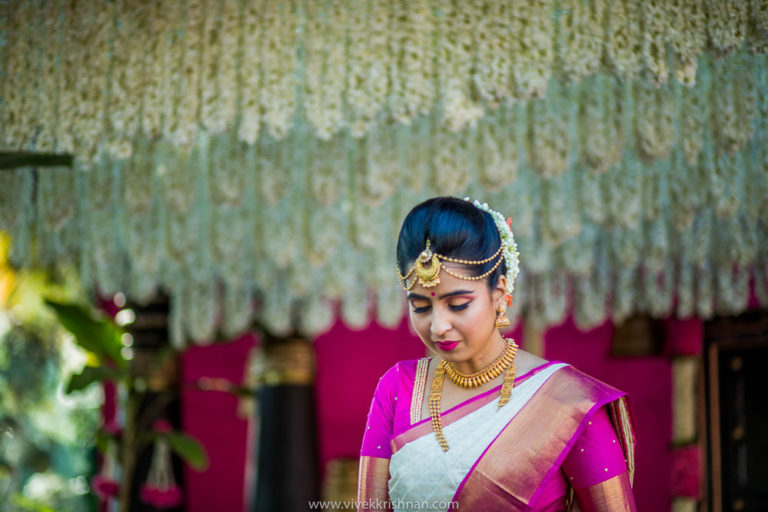 Neha & Anand - Vivek Krishnan